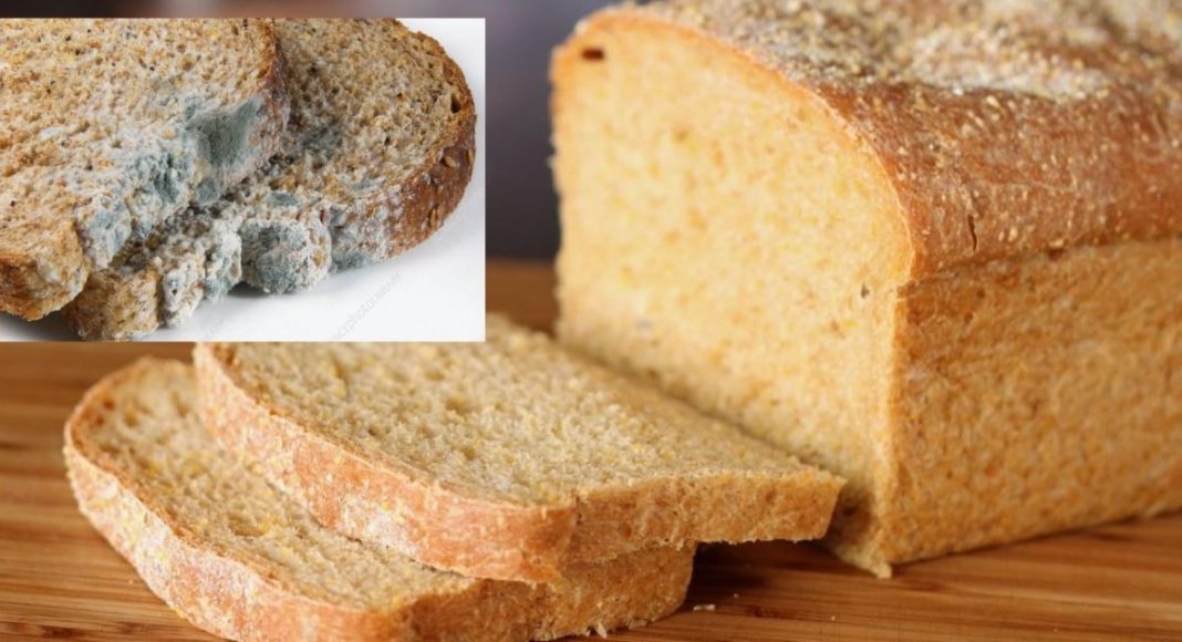 Buang Terus Roti Berkulat. Doktor Kata Tak Selamat Dimakan & Boleh ...
