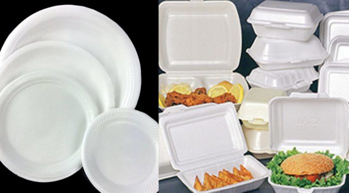 Jangan Guna Bekas Makanan Jenis Styrofoam Di Rumah, Doktor Ini Kata Bahaya!